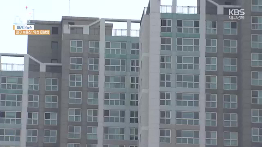 라이브 오늘 | 디지털 KBS